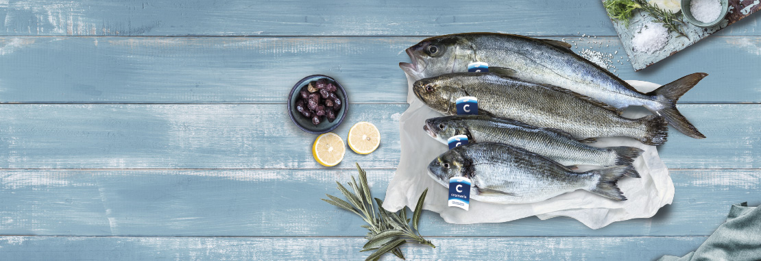 Naslovnica » Cromaris