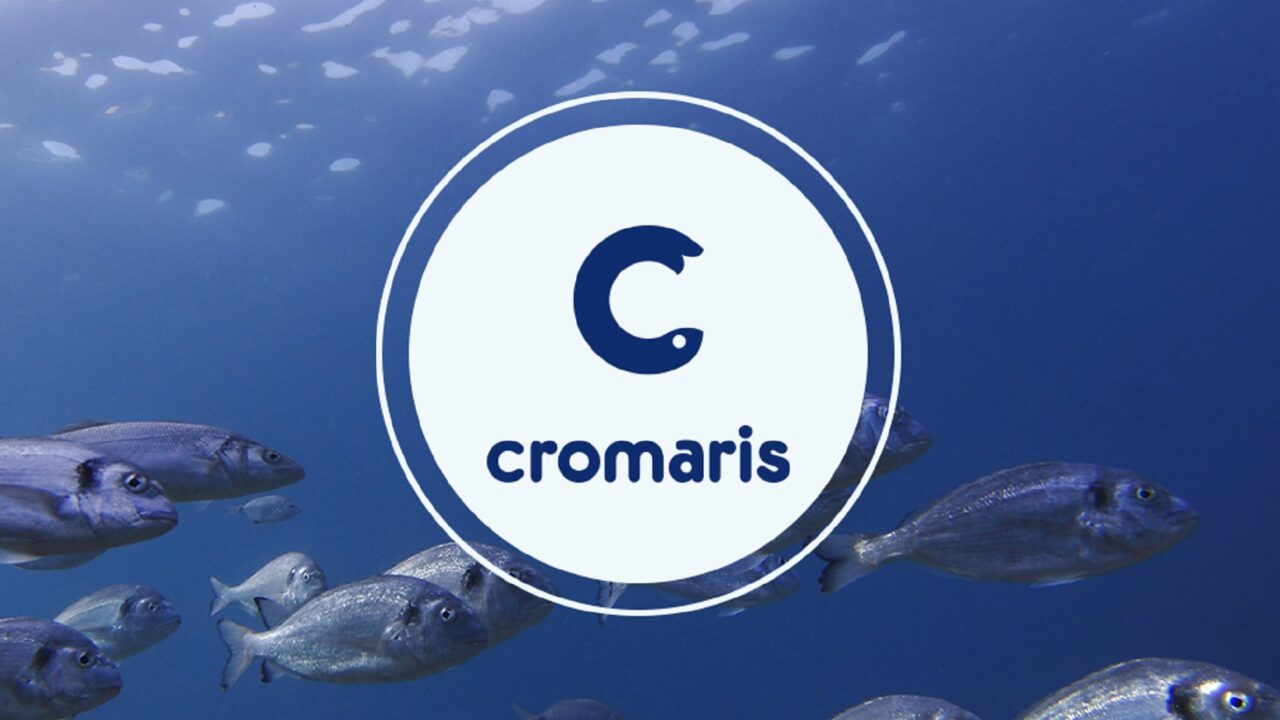 Homepage » Cromaris