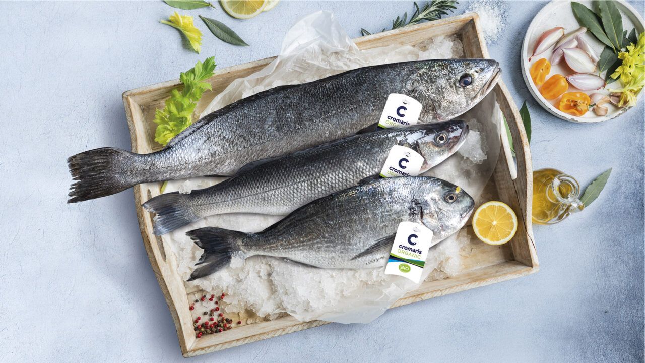 Organic fish » Cromaris